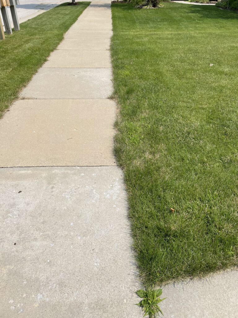 Before and After Sidewalk Edging #1 - WoodChucker's Mulch